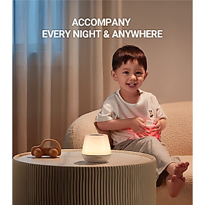 Lyridz Nursery Night Light for Babies, LED Rechargeable Bedside Touch Sensor Lamp for Kids Breastfeeding, 2 Colors Dimmable Egg Night Light, Timer, 2500mAh Lithium Battery