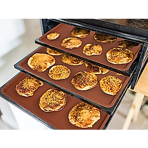 TWOWYHI 4 PCS 14x14 inch Silicone Dehydrator Mats with Edge Square Silicone Sheets Non-stick Silicone Fruit Trays Reusable Fruit Leather Trays for Dehydrator High Temperature Resistance Roll Up Trays for Fruits Meat Vegetables Herbs