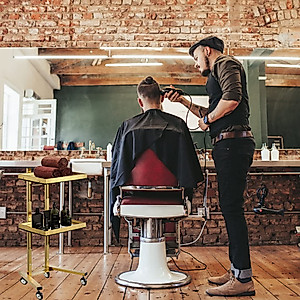 2-Tier Metal Rolling Cart, Stainless Steel Salon Storage Stand with Wheels Trolley Tray Storage Cart Kitchen Storage Trolley Utility for Bedroom Tattoo Shop (Golden)