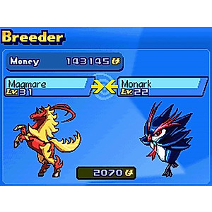 Monster Racers - Nintendo DS