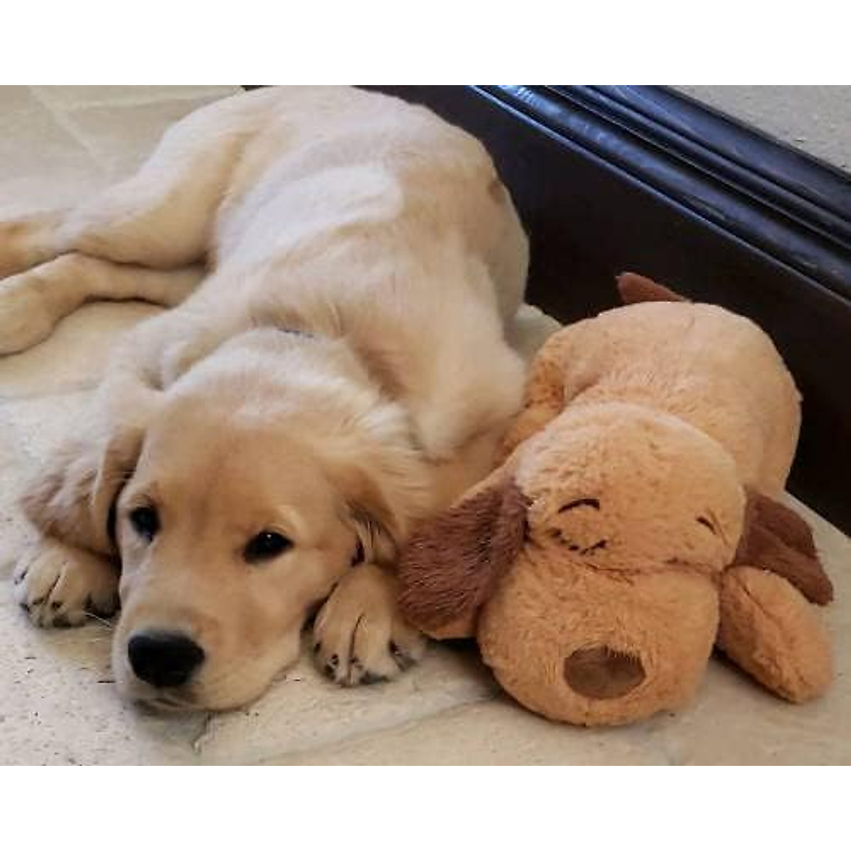 SZENSITE Replacement Heartbeat Box Heartbeat Simulator Box for Puppy Dogs Cats Toy Pets Toys Reborn Doll Anxiety Calming Training Behavioral Aid Sleep No Plush Toy