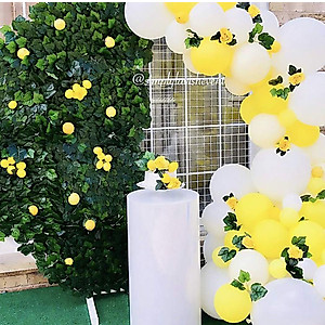 Beaumode DIY Yellow And White Balloon Garland Arch kit for 1st birthday Sunshine Lemon honeybee Popcorn Baby Shower Bridal Shower Party Backdrop Decoration (Yellow White)