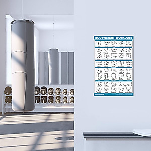 10 Pack - Exercise Workout Poster Set - Dumbbell, Suspension, Kettlebell, Resistance Bands, Stretching, Bodyweight, Barbell, Yoga Poses, Exercise Ball, Muscular System Chart (LAMINATED, 18" x 27")