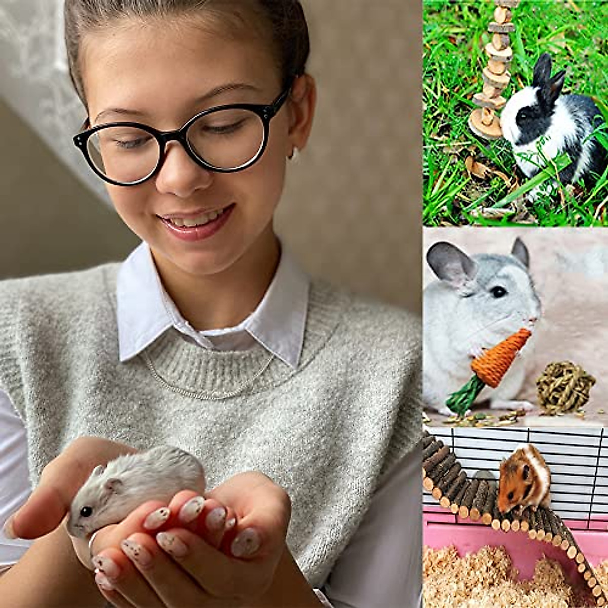 Syhemtya Chinchilla Toys Hamster Chew Toys Guinea Pig Toys Rat Toys Hamster Cage Accessories Small Animal Teeth Care Apple Wooden Accessories Set,Ball Ladder Bridge Swing Roller for Playground