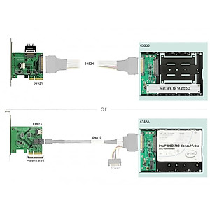 DeLOCK U.2 SFF-8639 to M.2 NVMe Key M/U.2 SFF-8639 Mounting Frame Converter with