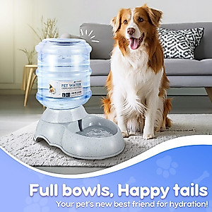 Flexzion Gravity Pet Water Dispenser Drinking Station for Dogs Cats (3 Gallon) Automatic Replenish Waterer for Small Large Breed Dog Cat,Feeding Watering Fountain Supplies Bottle Dish Bowl