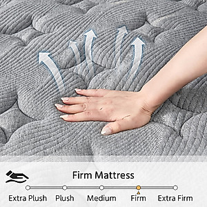 Queen Mattress 14 Inch, Firm Supportive Mattress Designed with Tight Line & Thick Foam Edges for Back Sleepers & Stomach Sleepers, Euro Top Enhanced Pocket Spring Hybrid Memory Foam Mattress