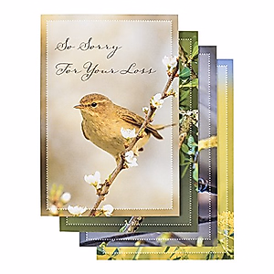 DaySpring - Sympathy - Comforting Thoughts - 12 Boxed Cards, KJV (60934),Multi