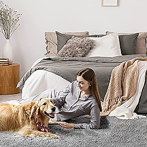 Chloelov Soft Thick Fluffy Faux Fur Area Rug for Living Room 5' x 8', Luxury Plush Shaggy Fuzzy Bedside Rugs for Bedroom Dorm Nursery, No-Slip Large Furry Cozy Accent Carpet Mats for Sofa Floor, Grey