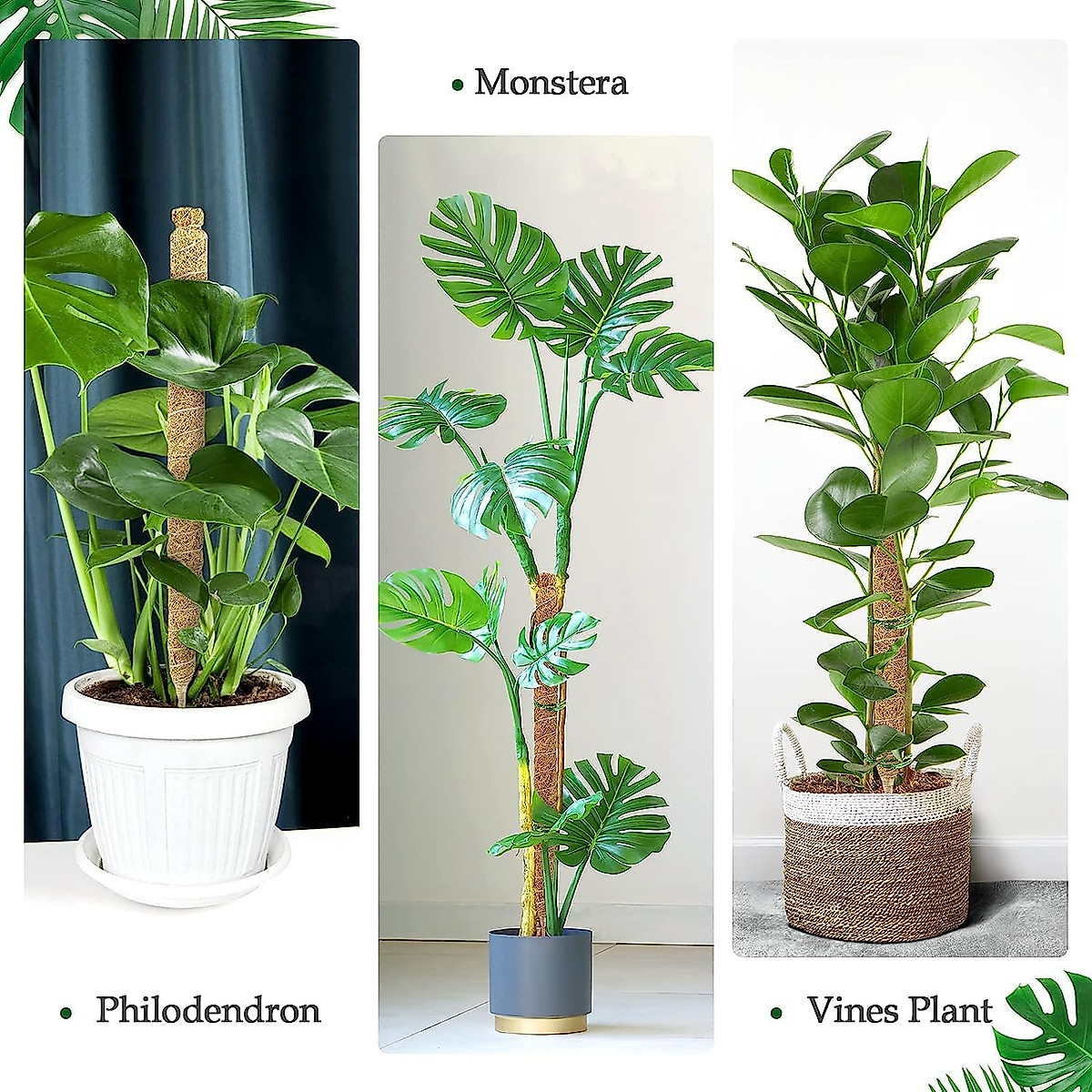 2 Pack Moss Pole for Plants Monstera - 25 Inch Moss Poles for Climbing Plants Monstera, Bendable Plant Stakes for Indoor, Handmade Coco Coir Monstera Plant Support for Plants Grow Upward