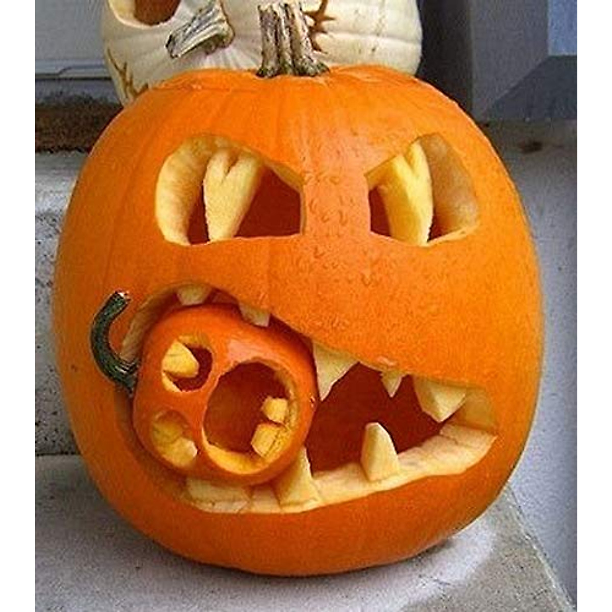 MIXED SEEDS! 50+ Pumpkin and Winter Squash MIX Seeds NON-GMO 25 Varieties Delicious Grown in USA. Rare, Super Profilic and Delicious HARLEY SEEDS