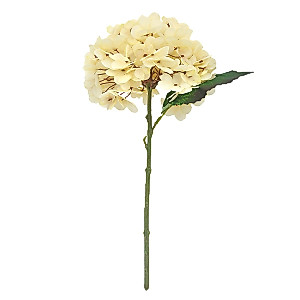 Blooming Paradise Artificial Fake Flowers Plants Silk Hydrangea 1 Flower Head Arrangements Wedding Bouquets Decorations Plastic Floral Table Centerpieces Home Kitchen Garden (Cream)