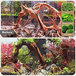 WDEFUN Driftwood for Aquarium Decor Natural Spider Wood Branches for Fish Tank Decorations 4-8 inch Pack of 7