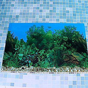 POPETPOP Fish Tank Background - 2 Sided Aquarium Wallpaper Aquarium Background Sticker Tank Decoration - 30x42cm