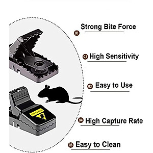 Mouse Traps, Mice Traps for House, Small Mice Trap Indoor Quick Effective Sanitary Safe Mousetrap Catcher for Family and Pet - 6 Pack