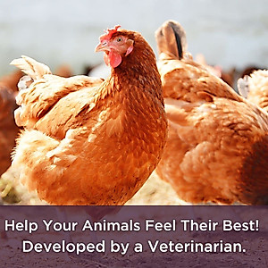 Dr. Connie's Probiotic + Electrolyte for Farm Animals | Supplement to Support A Healthy Gut | Veterinarian Formulated