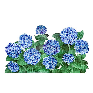 Maydahui Blue Hydrangea Flower Wall Decals Green Leaf Floral Wall Stickers (21.6x35.4 Inch) Removable Peel and Stick Art Murals Decor for Kids Bedroom Living Room TV Sofa Headboard Background