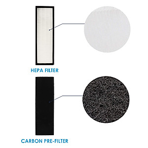 HEPA Air Purifier Replacement Filter B,replacement Filter B for AC4900, AC4825, AC4850PT, CDAP4500, AC4300, and More,1+1