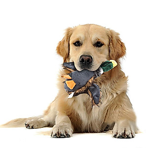 AOTOHOOPE Dog Toys for Aggressive Chewers, Pet Mallard Duck Dog Toy, Squeaky Plush Puppy Dog Toy for Small Dogs - 2 Pieces