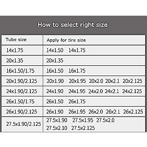 2 Pack CST 20Inch Bike Inner Tubes for 20x1.9/1.95/2.0/2.1/2.125 inch Schrader Valve SV 32mm Bicycle Tires Anti Puncture MTB Bike Interior Tyre Tubes Replacement