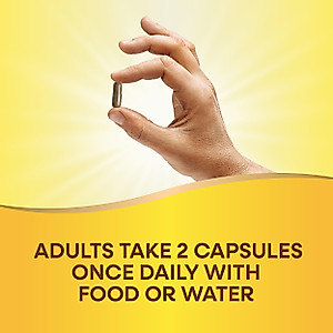 Nature's Way Ginkgo Premium Extract, Supports Memory & Concentration*, 120 mg Ginkgo Biloba Extract per 2-Capsule Serving, with Gotu Kola, Vegan, No Gluten, 60 Capsules (Packaging May Vary)