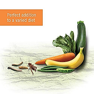 Zilla Reptile Food Munchies Fruit Mix for Pet Iguanas, Skinks, Tegus, Box Turtles, Tortoises & Hermit Crabs, 2.5 Ounce