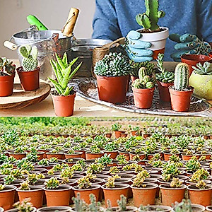 Augshy Nursery Pot, 75 Pcs 4" Plastic Nursery Seed Starting Pots Flower Plant Container for Succulent Seedling Cutting Transplanting