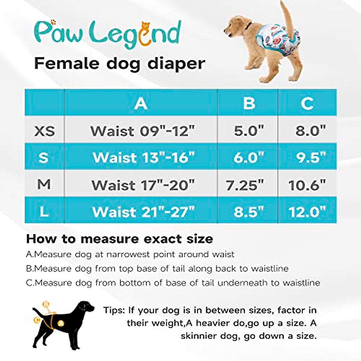 Paw Legend Washable Reusable Female Dog Diapers - No Leak Doggie Diapers for Heat Cycle (3 Pack,Adorable,Small)