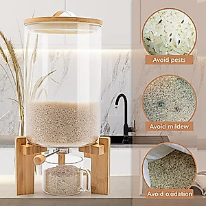 Glass Rice Airtight Dispenser 8L with Stand,Rice Holder Dispenser,Cereal Dry Food Storge Container Food Dispenser Countertop for Kitchen Organization and Pantry Store(8 L)