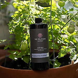 Heirloom Roses Founder’s Fish Fertilizer - Plant Food for Plants, Organic Liquid Emulsion Fertilizer, Garden Fertilizers for Rose Flower and Tomato Outdoor Gardening