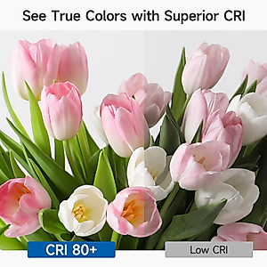 SHINESTAR 8-Pack Ceiling Fan Light Bulbs, 40W Equivalent, 5000K Daylight, A15 LED Bulb with E26 Base, Non-Dimmable