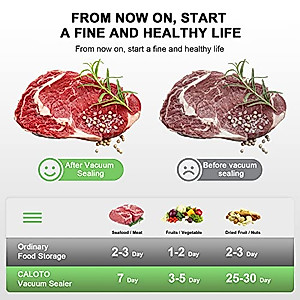 Fully Automatic Vacuum Sealer Machine, Hands-Free Operation, 5 Functions, Suitable for Vacuum Sealing Dry and Wet Foods, LED Indicator, Compact Design, Includes 15 Vacuum Bags