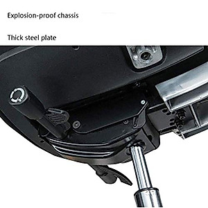 MXIAOXIA Office Chair, Breathable Mesh Computer Chair with Ergonomic Adjustable Lumbar Support Chair with Adjustable Armrest and Headrest, Soft Cushion Seat (Color : D)