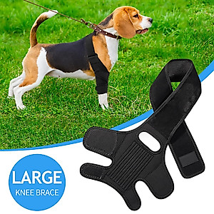 TONTONJIA Dog Knee Brace for Torn Acl Hind Leg Adjustable Dog Back Leg Support Brace, Dog Leg Brace for Hip Dysplasia, Better Recovery with Dog ACL Knee Brace (Medium)