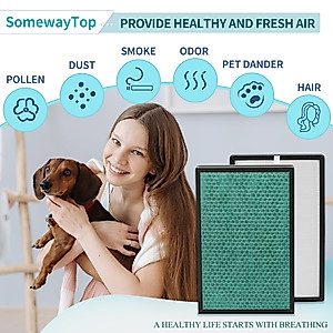 SomewayTop APH260 Replacement Compatible with APH260 and APH320 3-in-1 Filtration H13 True HEPA Air Cleaner for Large Room Pre-filter Plus Efficiency Carbon, 2-Pack