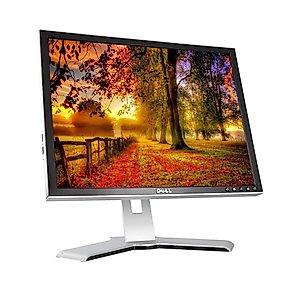 Dell 20 Inch Computer Desktop Tower LCD 20 Inch Monitor, VGA, DVI Ports, 5ms Response time, 1680 x 1050 Resolution, 170° /178° Viewing Angle (Renewed)