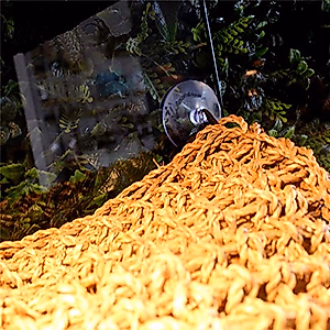 Reptile Lizard Lounger Bearded Dragon Hammock,100% Natural Grass Fibers Hammock Bed for Anoles, Bearded Dragons, Geckos, Iguanas, and Hermit Crabs