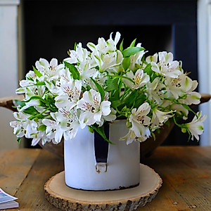 Wilsons 40003 Basswood Thick Round, 11" to 12"