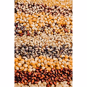 Amish Country Popcorn - 10 (1 Lb Bag) Variety Gift Set Bundle (Red, Blue, Medium White, Midnight Blue, Purple, Ladyfinger, Baby White, Rainbow, Medium Yellow, and Mushroom)