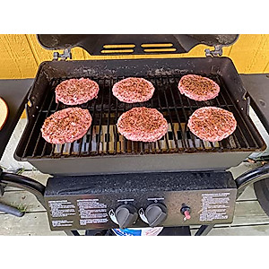 DcYourHome Grill Heat Plate Replacement for Select Broil-Mate 24025HNT 30030HNT and Master Forge 30030MSF, Stainless Steel Heat Tent Shield Plate for Select Fiesta Gas Grills