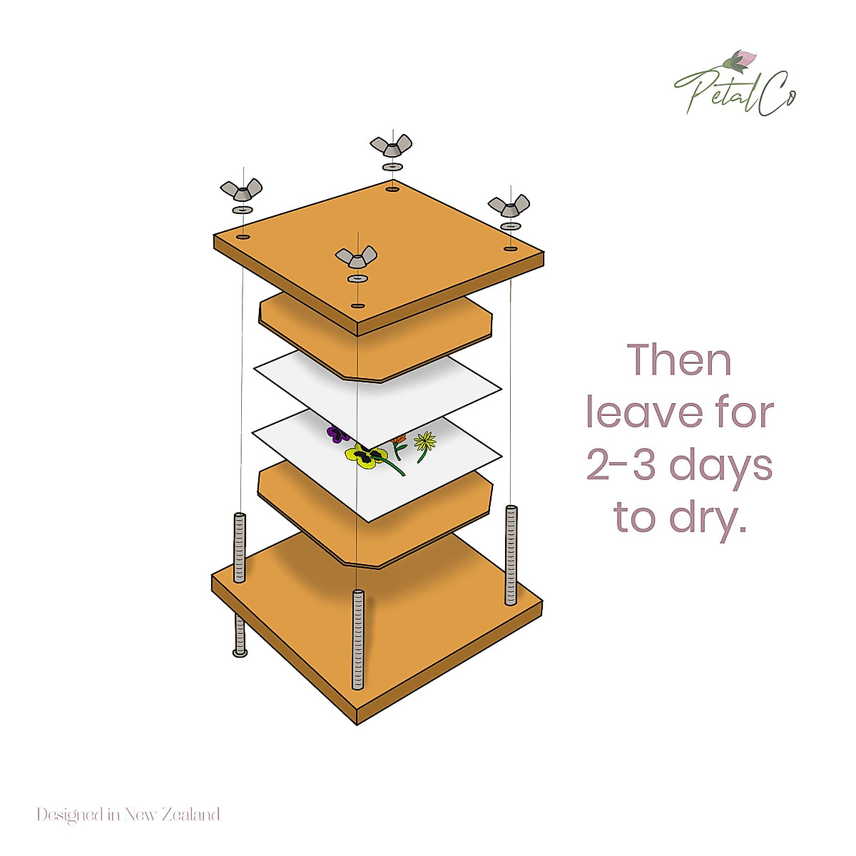 Petal Co Wooden Flower Press 7inch x 7inch with Frame for pressed flowers and leaves including Ultimate Guide to Flower Pressing