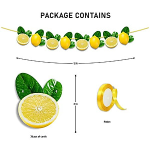Seyal® Lemon Garland Decoration