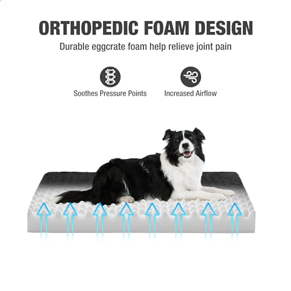 Veehoo Orthopedic Dog Bed for Medium Dogs - Medium Dog Bed with Washable Cover and Portable Handle, Dog Crate Bed Ped Bed Suitable for Dogs Up to 40lbs, Black