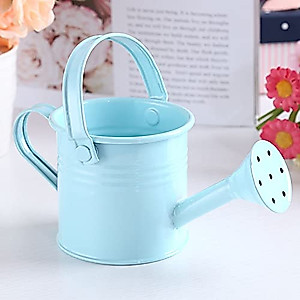 SMLJFO Watering Can for Indoor Outdoor Plants, Modern Style Watering Pot with Handle Sprinkler Head Iron House Garden Flower Long Spout Shower Pink 5.1in