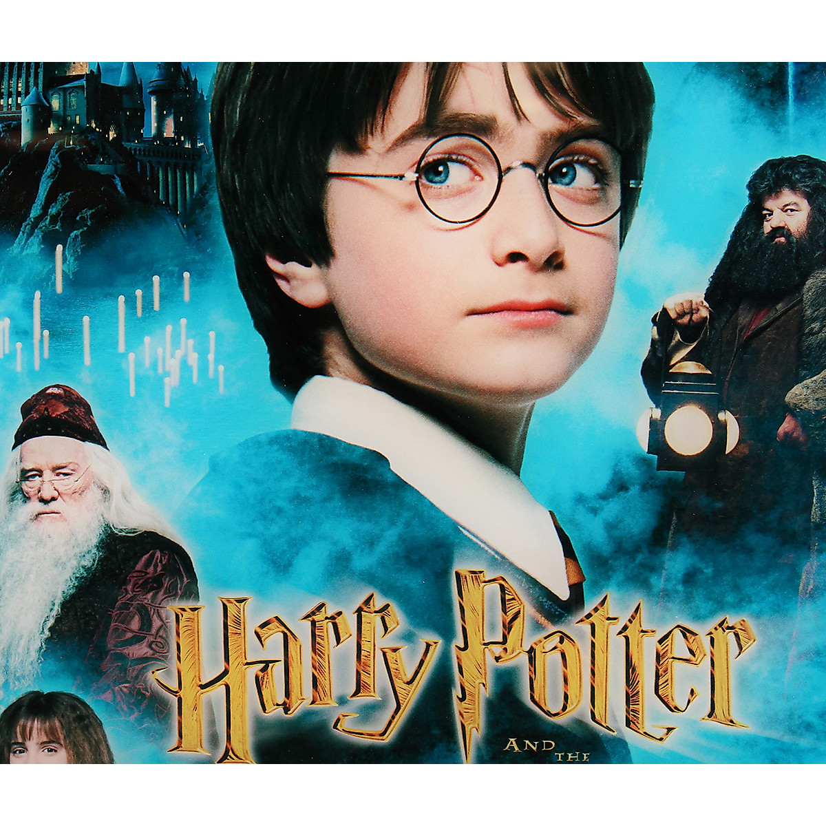 Harry Potter - Impression en Verre - Philosopher's Stone - 30X40 Cm