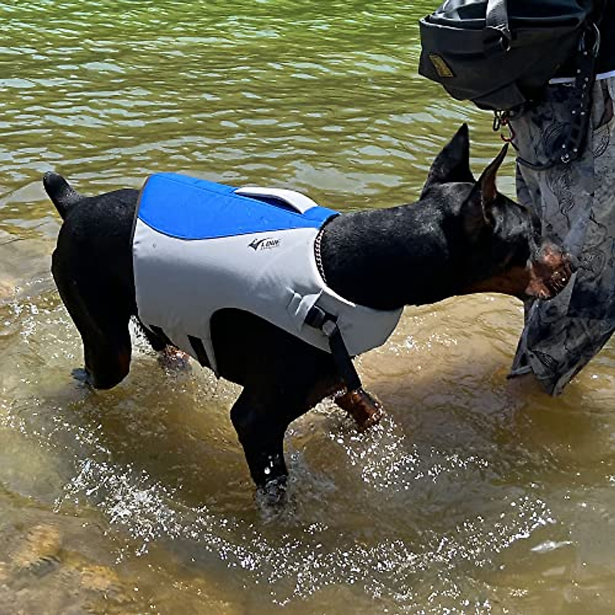Dog Life Jacket, Sport Style Dog Float Coat with Excellent Buoyancy, Stylish Dog Swimming Safety Vest with Rescue Handle for Small Medium Large Dogs Blue M