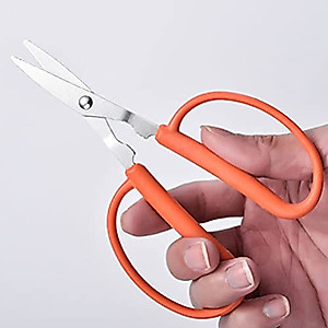 HEMOTON 5Pcs Set eat crab set lobster tools oyster shucking tools leg kit lobster crackers opener shrimp cleaning tool seafood spoon crab leg opener biscuit Stainless steel Sheller