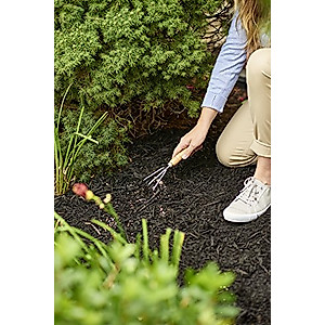 Scotts Evergreen Flowering Tree & Shrub Continuous Release Plant Food 3-Pound