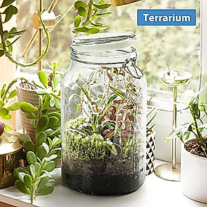 1 Gallon Super Wide Mouth Glass Storage Jars with Airtight Lids and 2 Measurement Marks, Leak Proof Glass Container with Hinged Lids, Large Pickle Jars with Labels and Silicone Gasket, 2 Pack