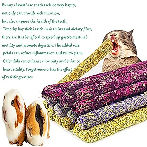 Rabbit Chew Toys 40pcs Timothy Hay Sticks About 14oz/400g Hamster Molar Snacks Handmade are Perfect Food Accessories for Bunny Guinea Pigs Rats Chinchillas Gerbils (40pcs Multiple Flavors Hay Sticks)